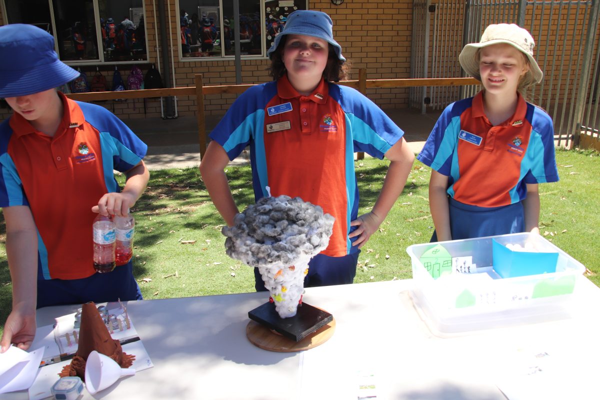 Year 6 Science Challenge - Waggrakine Primary School
